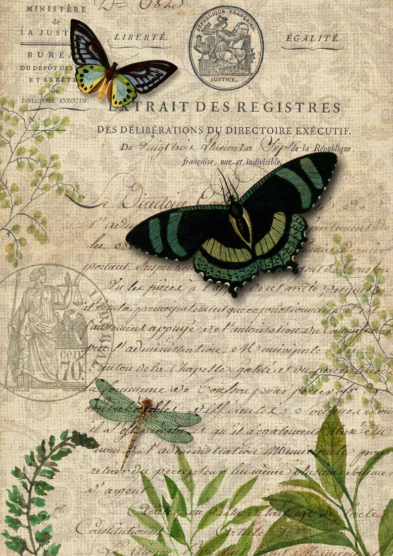 Butterfly Botanical - Decoupage Paper – The Weathered Shed